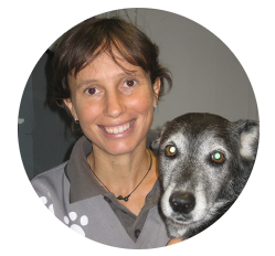 Clinique Vétérinaire à Erpent - Equipe Soignante